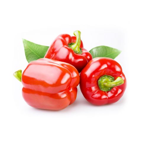 CAPSICUM RED 500GM Online | Waynik By Safco