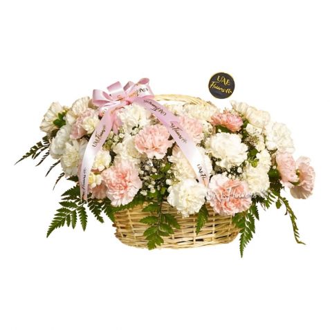 PASTEL CARNATIONS BASKET| Waynik By Safco