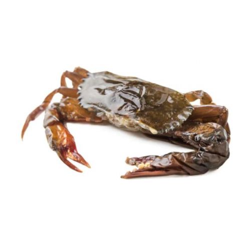 CRAB WHOLE 10KG Online | Waynik By Safco