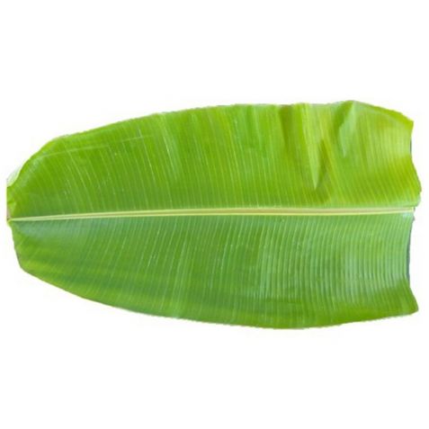BANANA LEAVES 1X1PC Online | Waynik By Safco