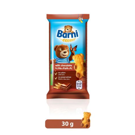 BARNI CHOCOLATE CAKE 30GM Online | Waynik By Safco