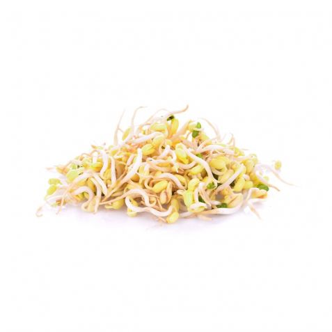 BEANS SPROUT 500 GM Online | Waynik By Safco