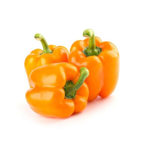 CAPSICUM ORANGE 500GM Online | Waynik By Safco