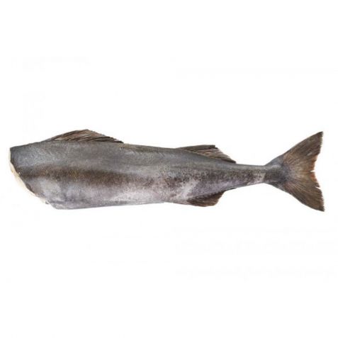 AMACORE COD FISH BLACK HEADLESS FROZEN APPROX. 5/7LB