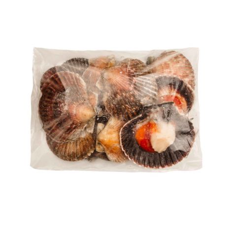AMACORE SCALLOP W/HALF SHELL 1KG Online | Waynik By Safco