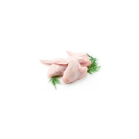 FRESH CHICKEN WINGS 500GM Online | Waynik By Safco