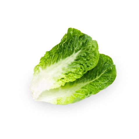 LETTUCE ROMANIA BABY