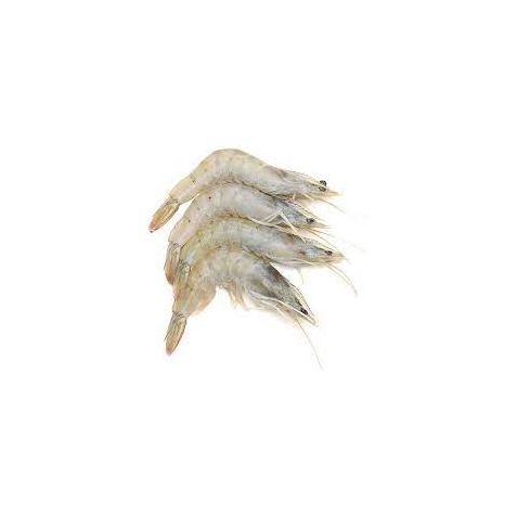 FRESH PRAWNS MEDIUM 50/60 500GM Online | Waynik By Safco