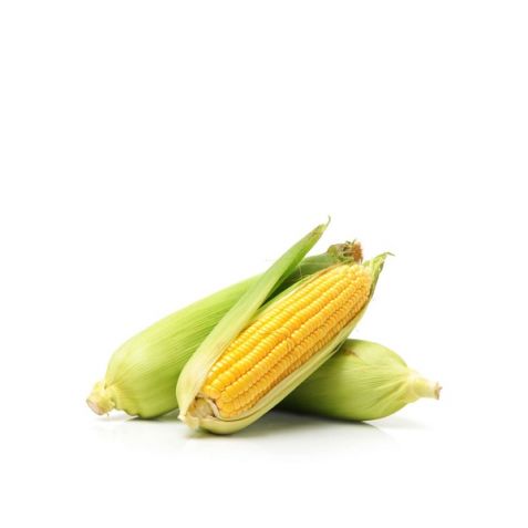 SWEET CORN LOCAL 1KG Online | Waynik By Safco