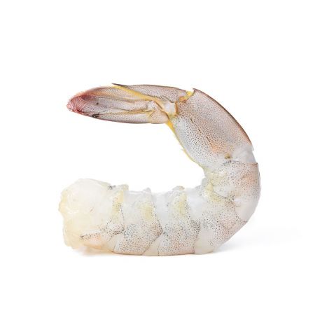 OCEANIC PEARL SHRIMPS RAW PD TAIL ON 11-15PC 1KG | Waynik By Safco