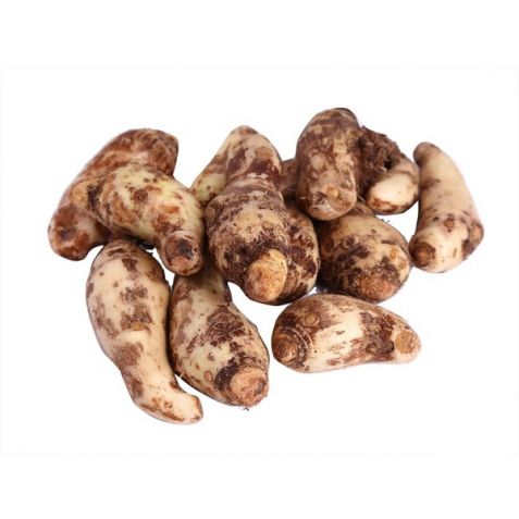 TARO (ARBI) INDIA Online | Waynik By Safco