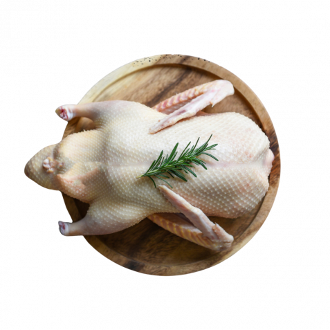 FROZEN WHOLE DUCK 2KG Online | Waynik By Safco