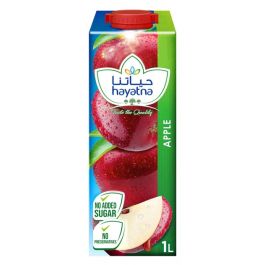 HAYATNA UHT APPLE JUICE 1LTR Online | Waynik By Safco
