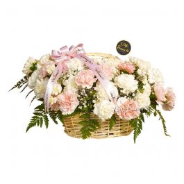 PASTEL CARNATIONS BASKET| Waynik By Safco