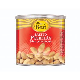 BEST SALTED PEANUTS CAN 300GM Online | Waynik By Safco