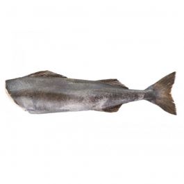 AMACORE COD FISH BLACK HEADLESS FROZEN APPROX. 5/7LB