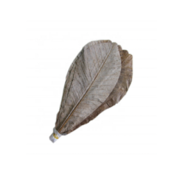 ISHIN DRIED HOBA LEAVES 120GM(20PCS) Online | Waynik By Safco