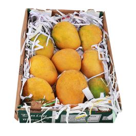 MANGO BADAMI- CTN Online|Waynik By Safco