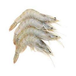 FRESH PRAWNS MEDIUM 50/60 500GM Online | Waynik By Safco
