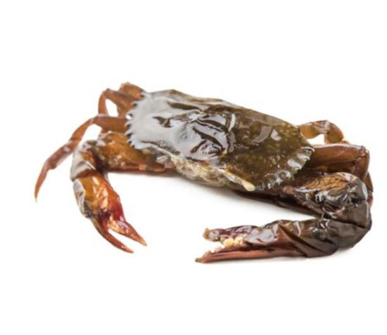 CRAB WHOLE 10KG Online | Waynik By Safco