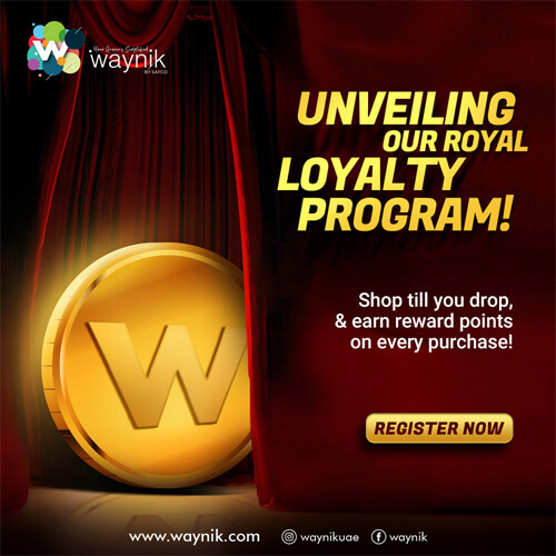 Online Grocery Shopping Made Easy with Waynik